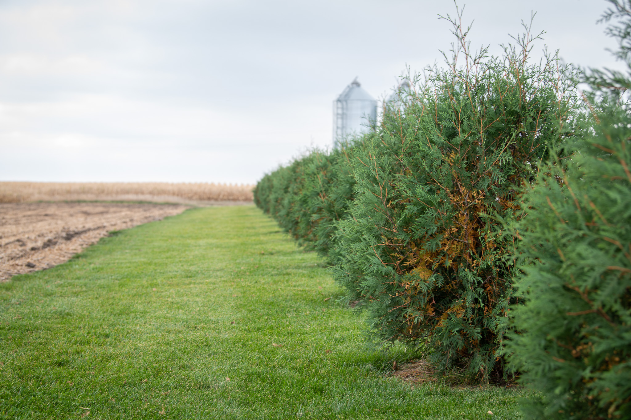 Green Farmstead Partner Program Supports Boone County Family in ...